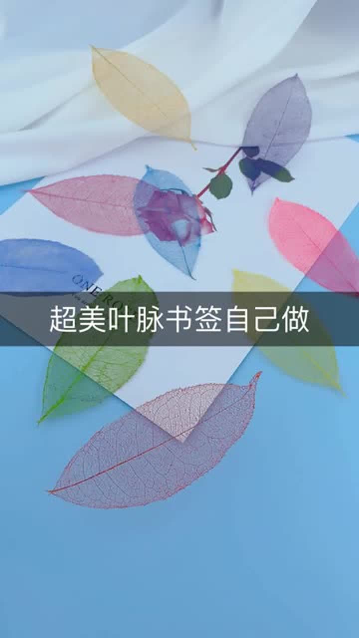 超好看的叶脉书签,你做成功过吗?没有的话看看这个吧!新知来.