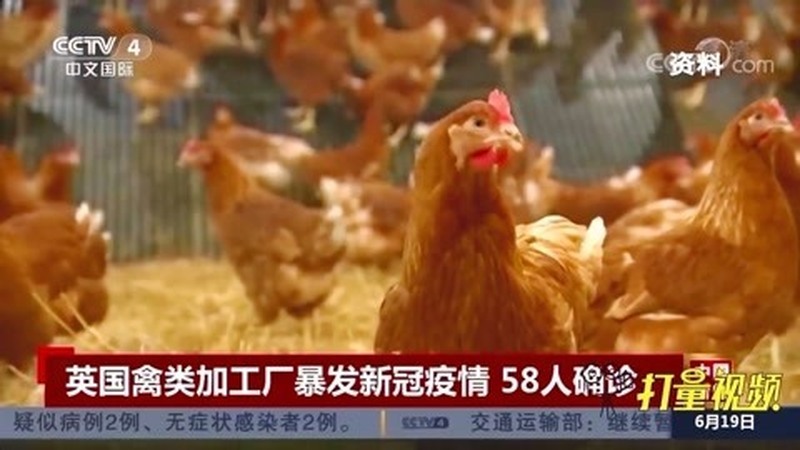 英国禽类加工厂暴发新冠疫情,58人确诊|央视网