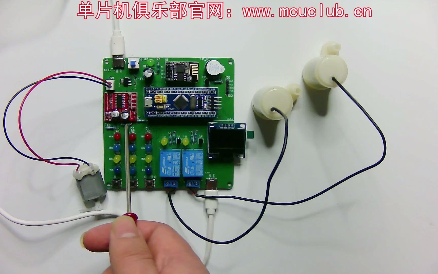 【单片机毕业设计】智能洗衣机 | 多功能洗衣机 | 全自动洗衣机