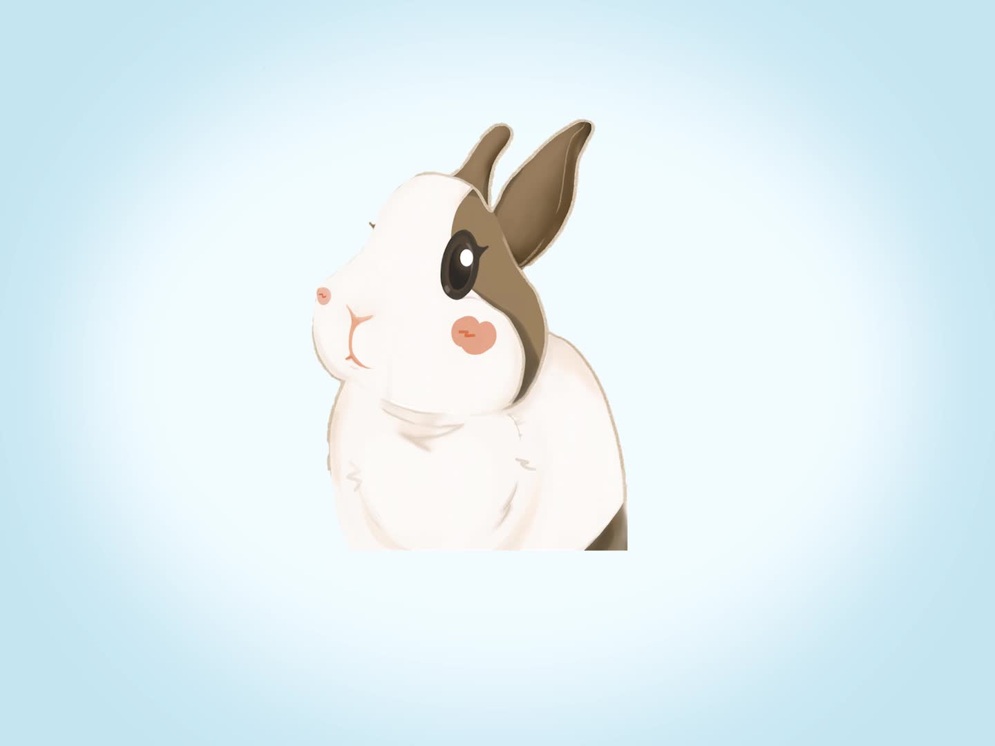 080705光电信息科学与工程专业