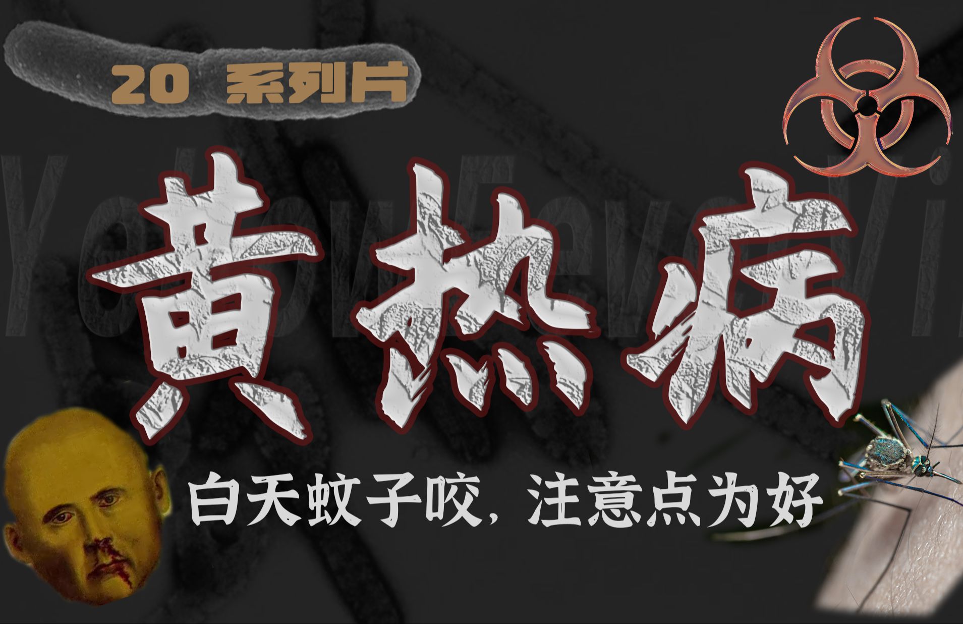 【传染病系列20】历史上的黄热病 到底有多可怕?反转法国战局,左右...
