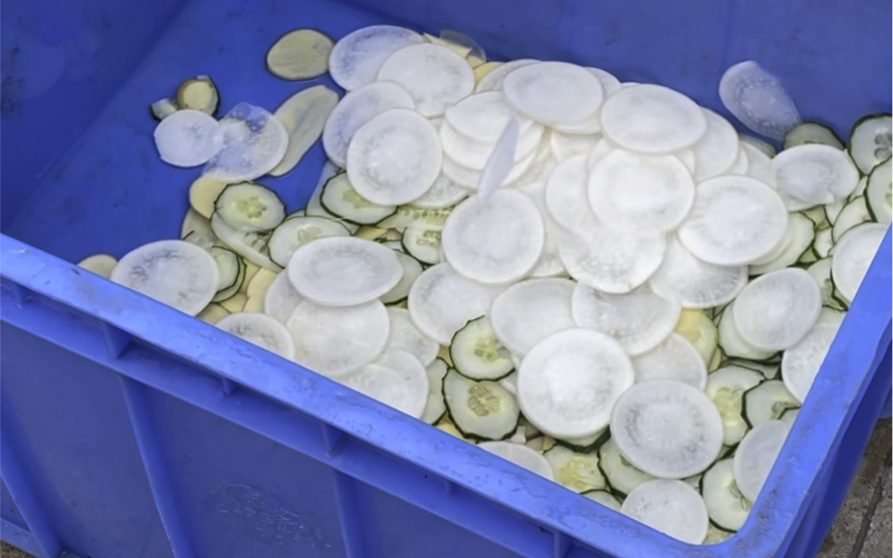 多功能刨片机,萝卜黄瓜土豆片,效果好棒