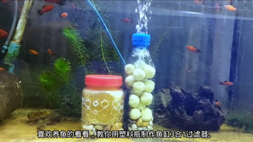 用塑料瓶制作鱼缸3合1过滤器