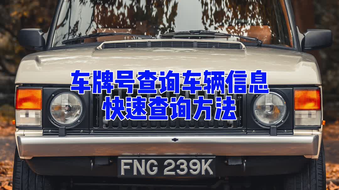 车牌号查询车辆信息,机动车信息查询方法,汽车信息查询