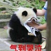 PS教程大全 