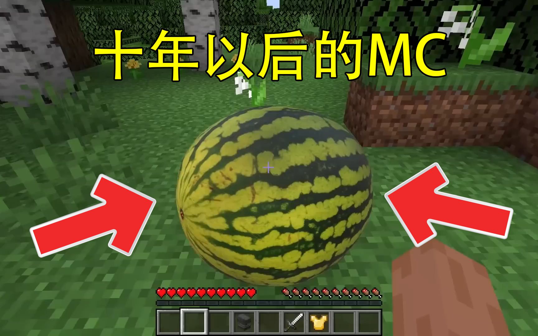 我的世界:最真实的游戏西瓜,十年以后的MC!_单机游戏热门视频