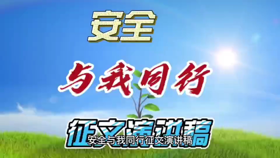 安全与我同行征文演讲稿