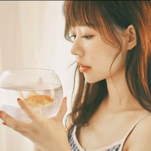 欣欣设计坞 
