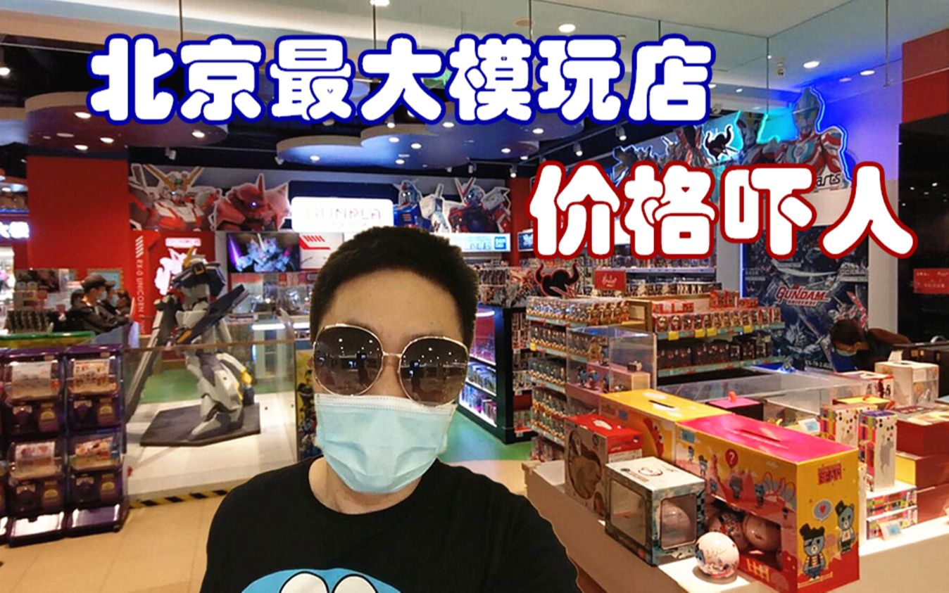 到北京最大模玩店打卡,想剁手却被价格劝退-刘哥模玩