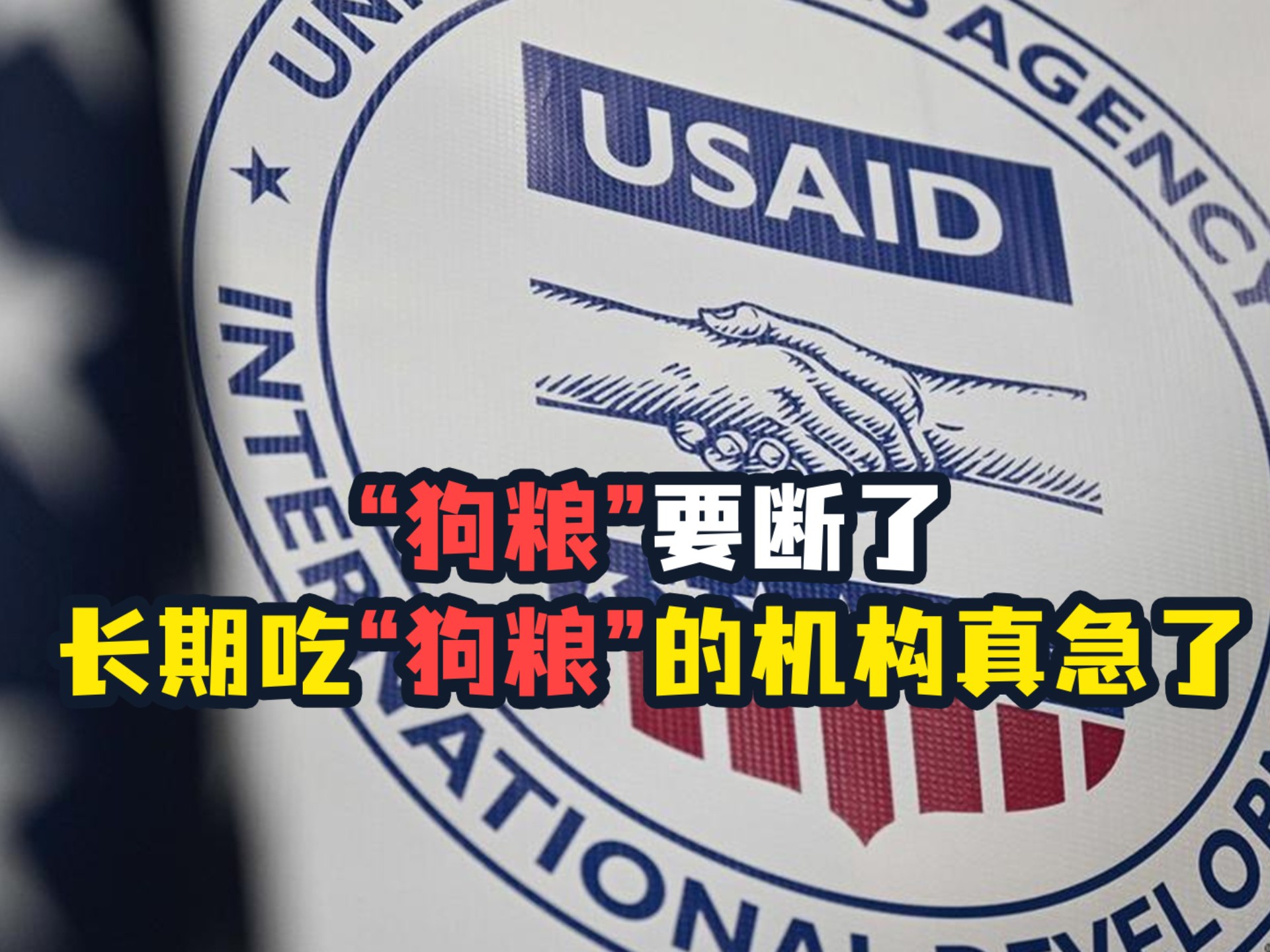 【老贾评】特朗普马斯克断了在华NGO“狗粮”,有人急了出来叫唤了