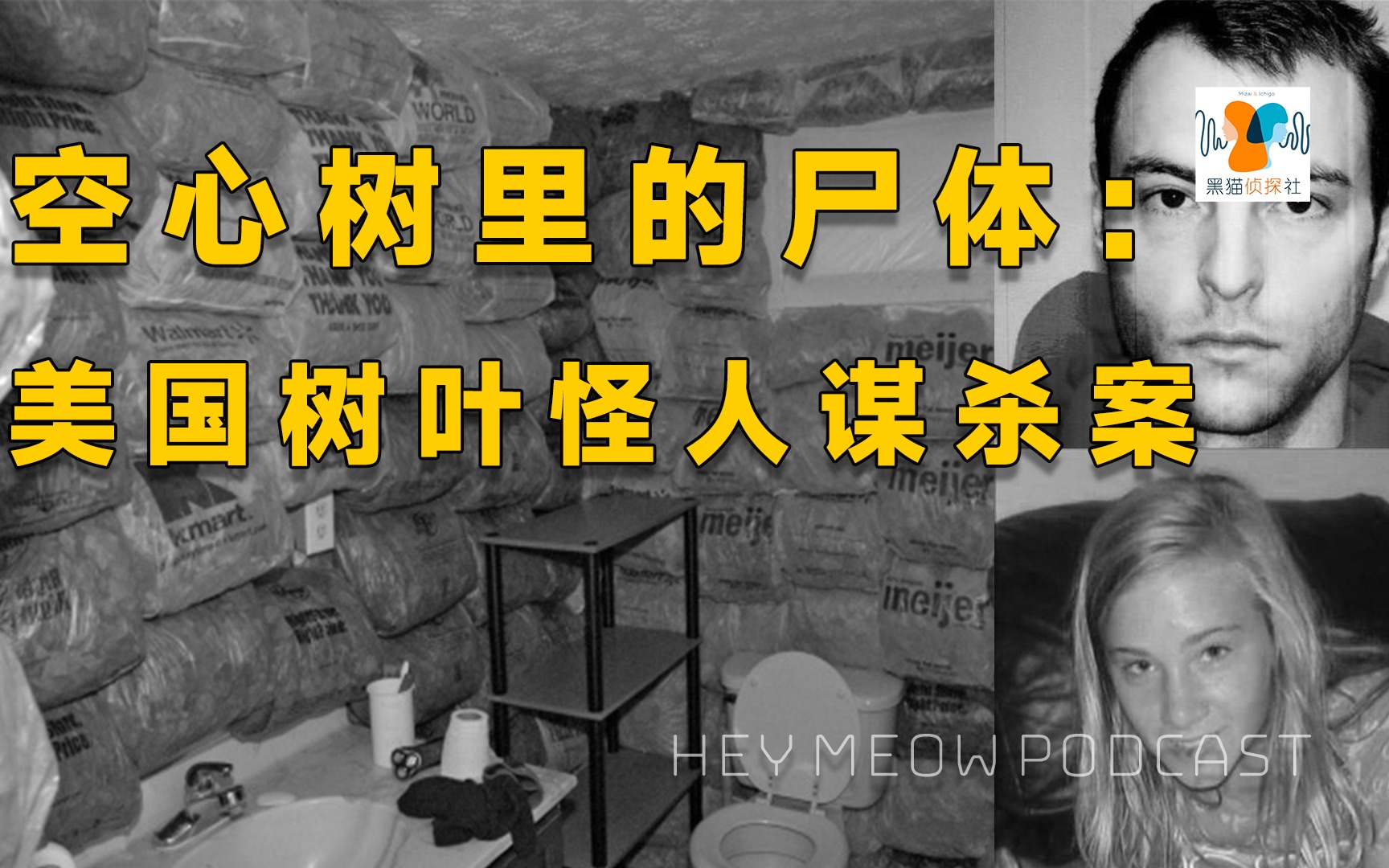 空心树里的尸体:美国树叶怪人谋杀案