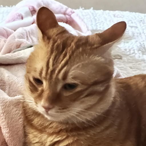 小红你又在打电动哦 