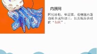 细胞器--系统内的分工合作