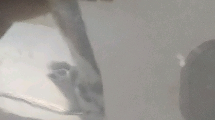 感应式验电笔