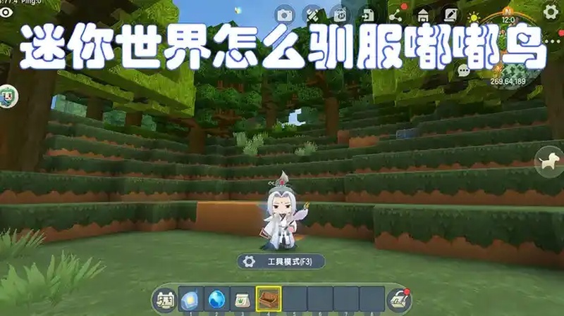 迷你世界怎么驯服嘟嘟鸟