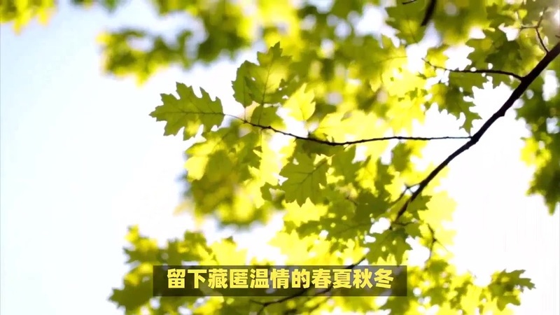 湖南工业大学举行2024届毕业生毕业典礼暨学位授予仪式