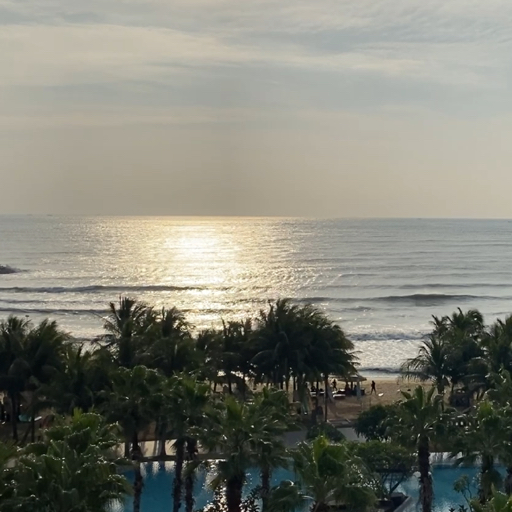 梦见紫色电子羊 