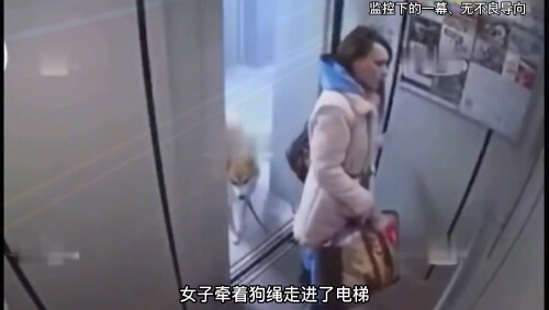 女子牵狗绳坐电梯差点害死自己
