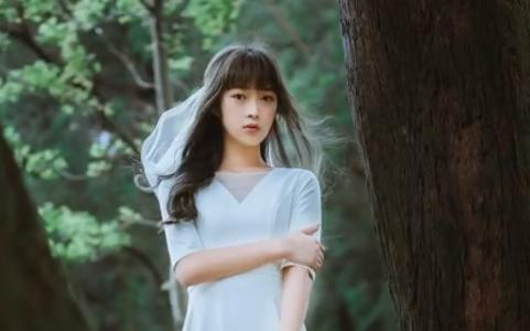 森林拍照另外打开方式!