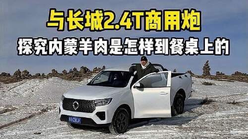 长城炮助内蒙牧民日赚千元!2.4T商用皮卡成草原致富新神器