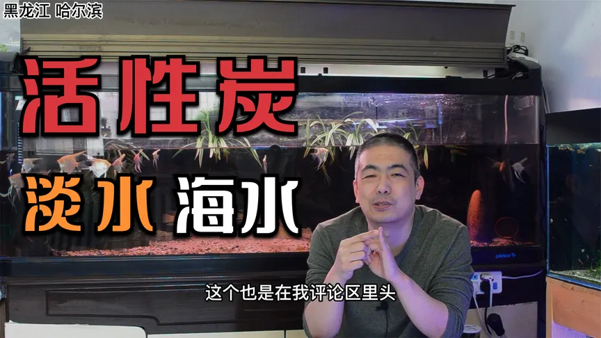 鱼缸过滤中不是必须品的滤材,活性炭在淡水缸海水缸中的作用用途