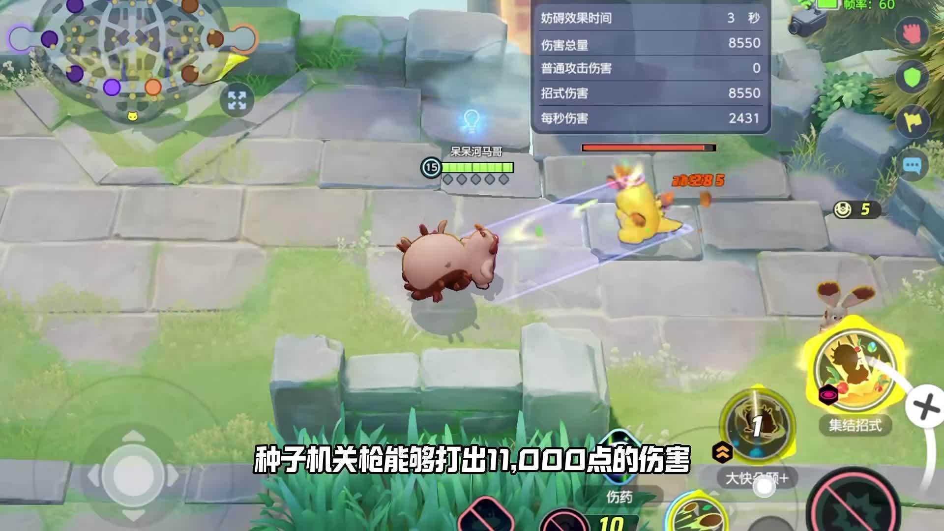 皮卡丘看完都摇头,国服藏饱栗鼠只有之前的一半强度! #宝可梦大集结 #...