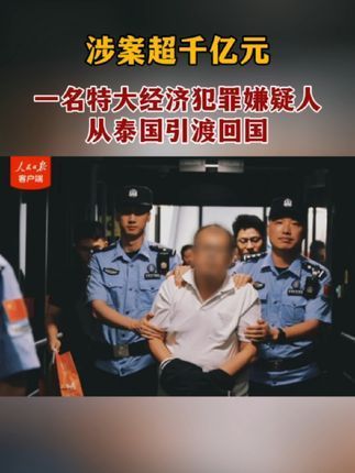 ...公安部“猎狐行动”工作组将涉嫌组织、领导传销活动罪的特大经济...