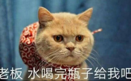 垃圾佬鲁大师跑分最高20万的百元办公机,鑫谷黑金GP700G,AMD X4 ...