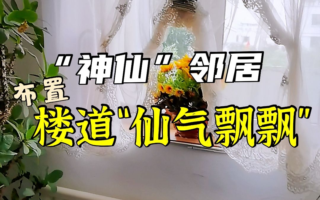 (向往的生活)这么“仙”的楼道,确定不是家里?你也有这样热爱生活的...