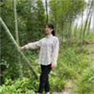 湘中烈姐