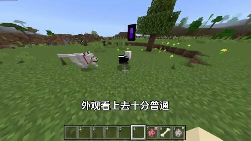 我的世界,网易最真实的宠物模组