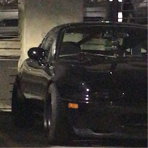 X鑫酱 