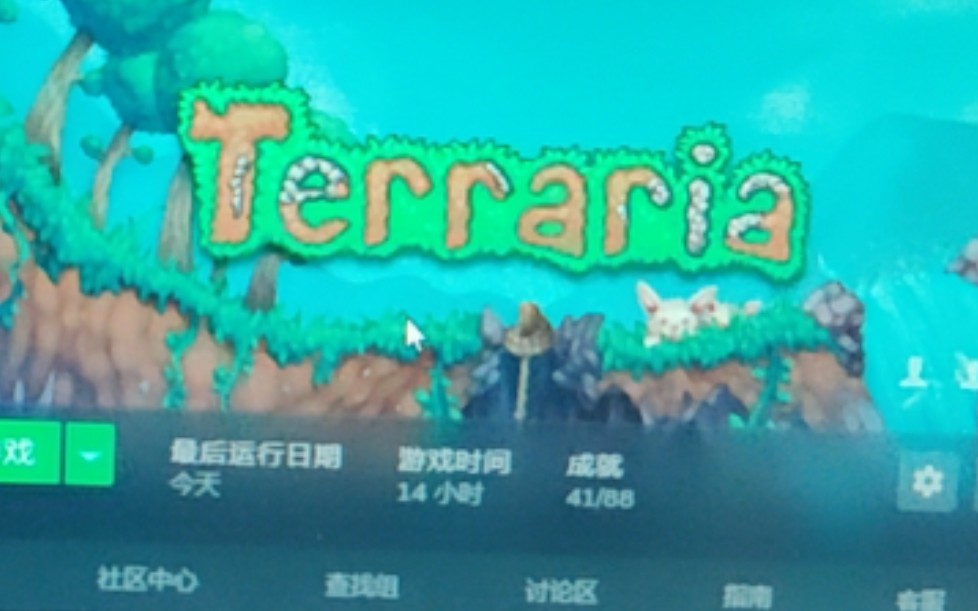【泰拉瑞亚】steam原版如何安装mod(以汉化者mod为例)