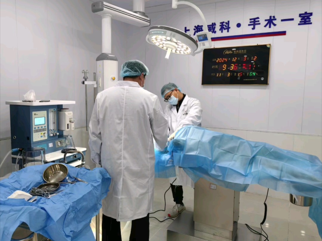 上海威科大动物实验中心-体内血栓山羊模型实验