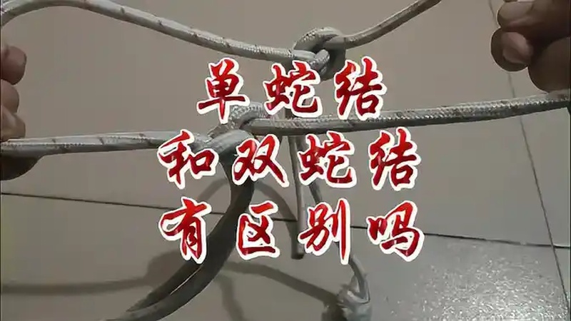 单蛇结和双蛇结有区别吗