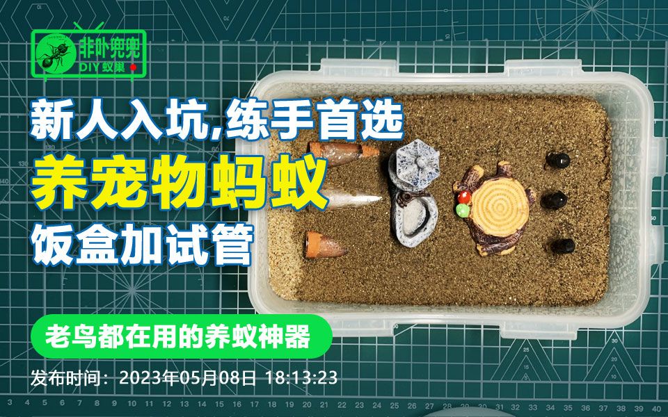 【新手养蚁】简易自制蚁巢:饭盒加试管--养蚂蚁神器(1)
