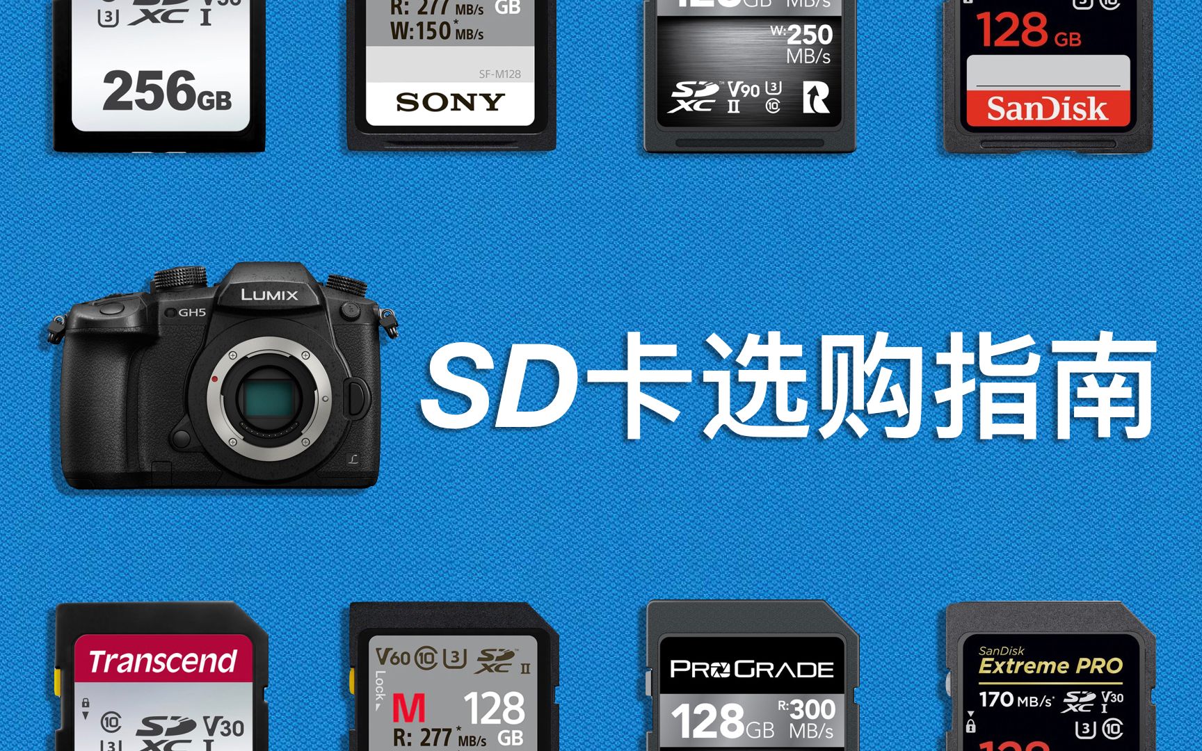 拍视频,相机SD卡怎么选?一分钟教会你【单反存储卡选购】