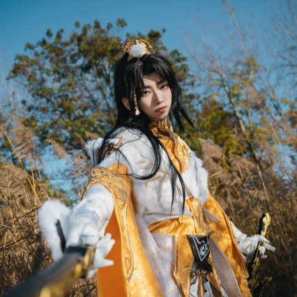 宝可梦红叶 