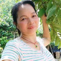 农村辣兰小号 