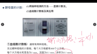 第一章第二节第二课时酵母菌
