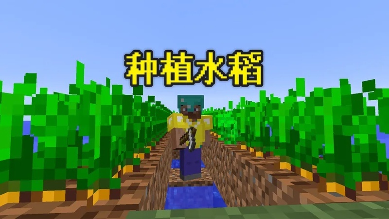 我的世界PC孤岛生存22:种植大量小麦,期待能丰收