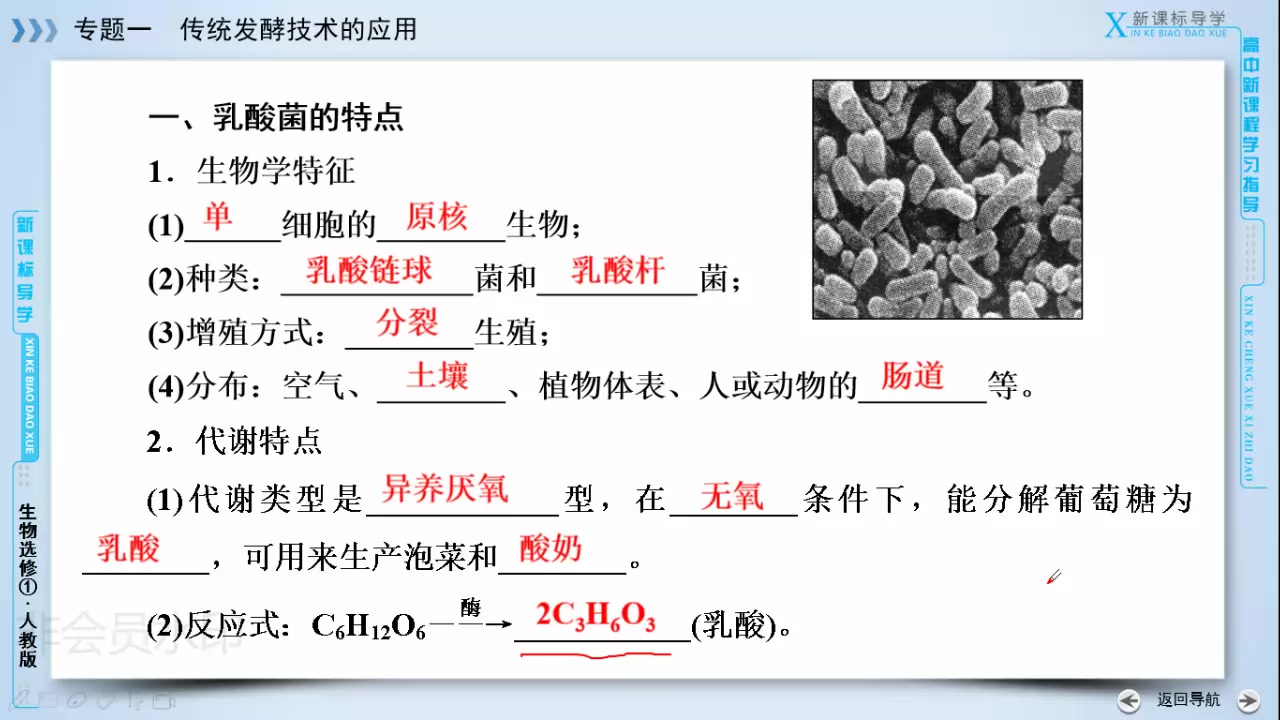 泡菜的制作和亚硝酸盐检测原理
