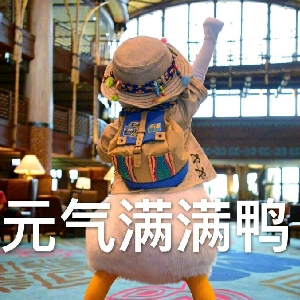 洛落不语 