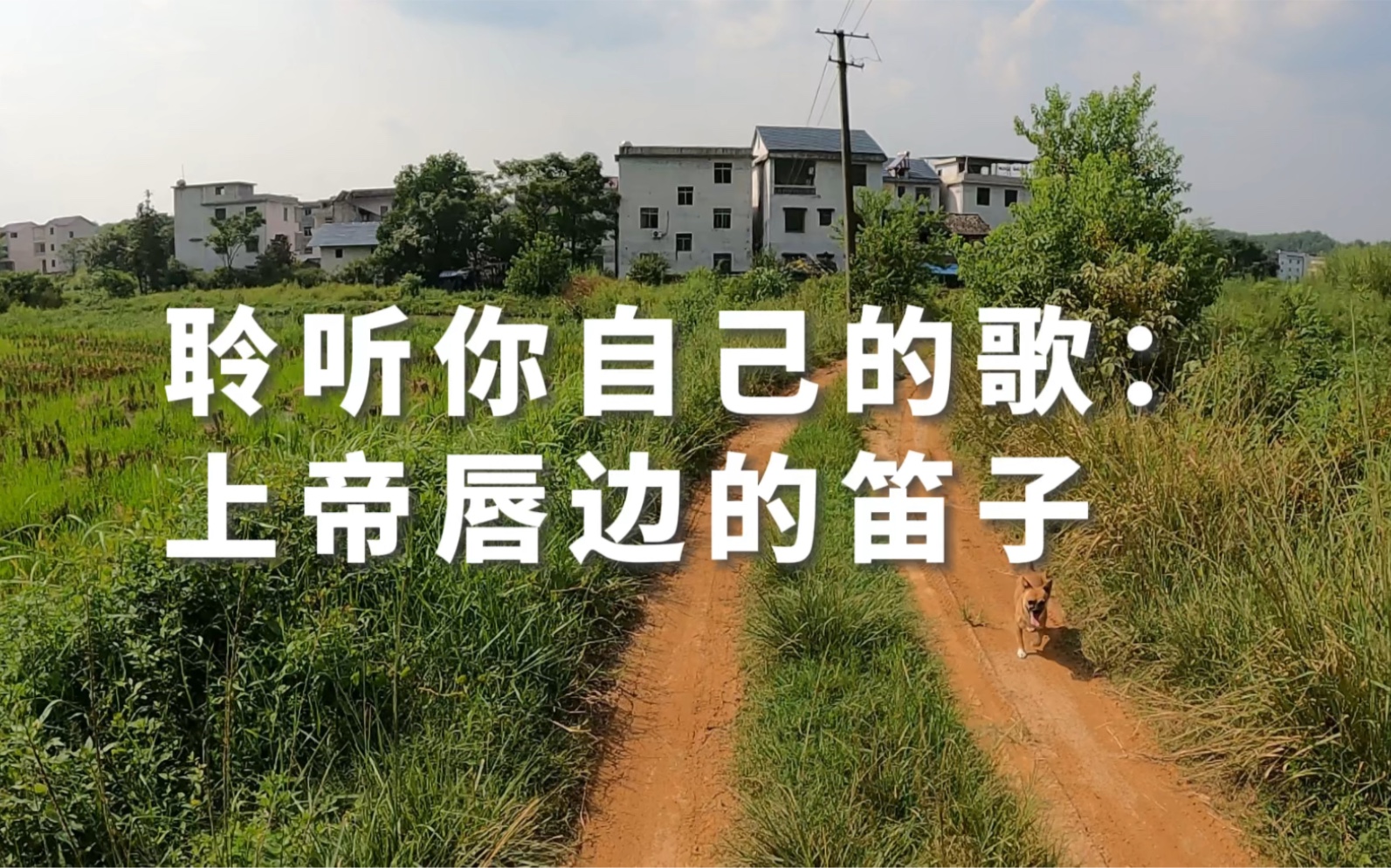 聆听你自己的歌:上帝唇边的笛子