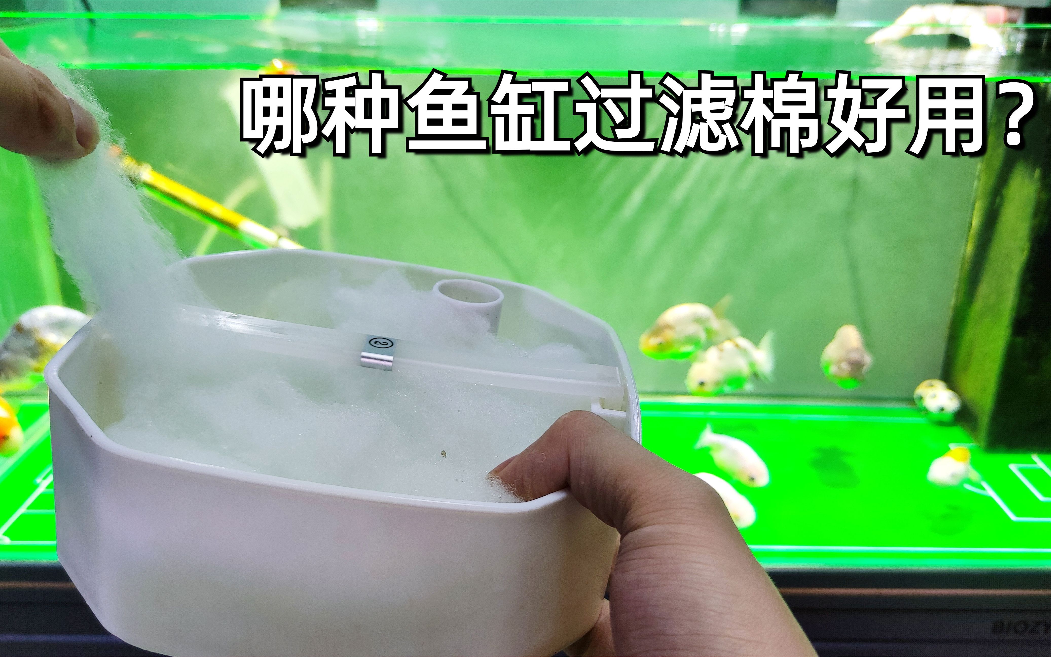 哪种鱼缸过滤棉好用?可以试试这个手撕羊绒棉,好用还便宜
