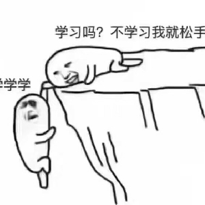 呵呵呵呵呵何何 