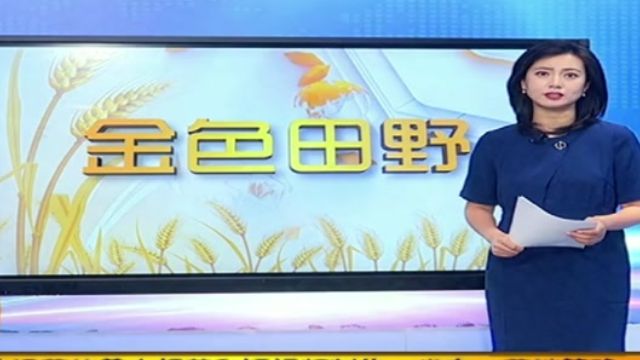 2019年这些农民需缴耕地占用税,交税标准已公布