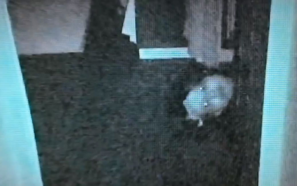 【伪纪录片】日本恐怖映像《闇里动画》等合集