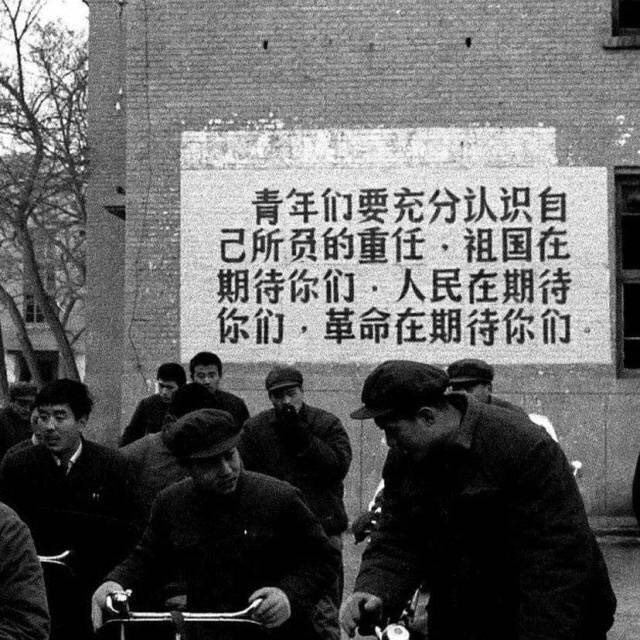 沉默的达瓦里氏 