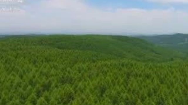 荣耀!联合国表彰世界环保组织最高奖,被中国塞罕坝林场一举摘下